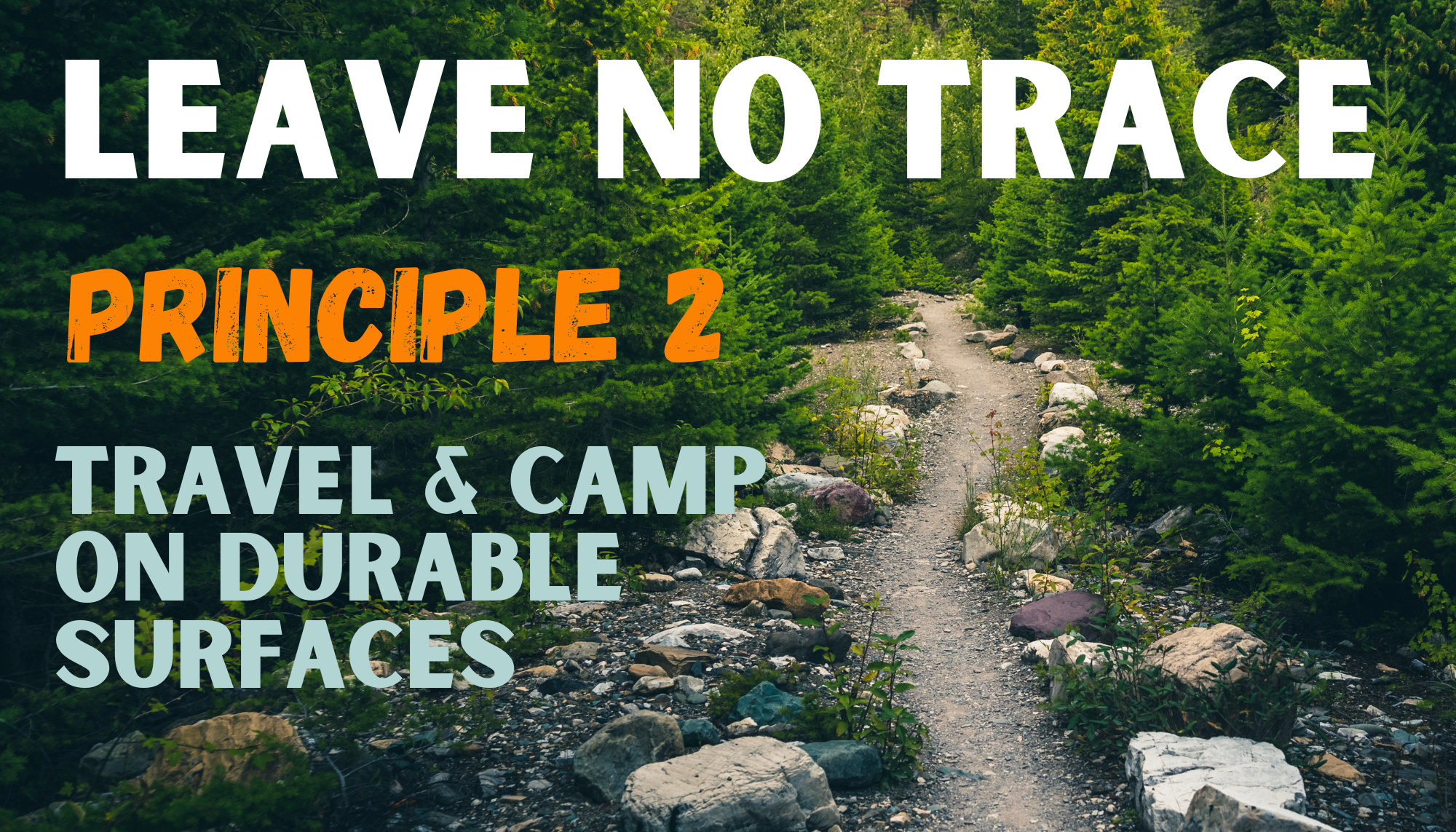Leave No Trace: Principle 2 - Travel & Camp on Durable Surfaces ...